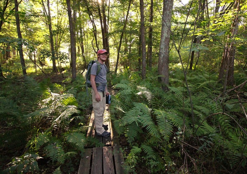 Carnivorous Plants of Ohio - Fens and Bogs | Curious Plant