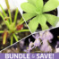 Carnivorous Plant Beginner's Bundle | Curious Plant